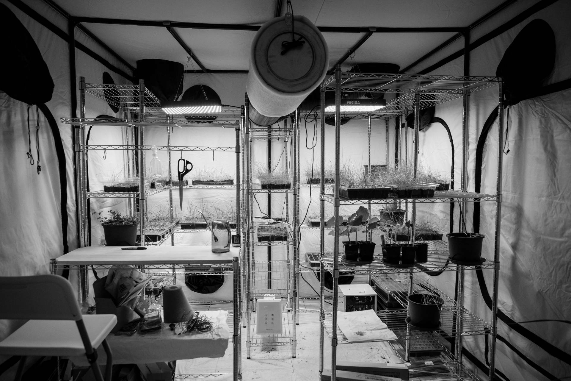 Prototype #3 Update - Wild Hydrogen